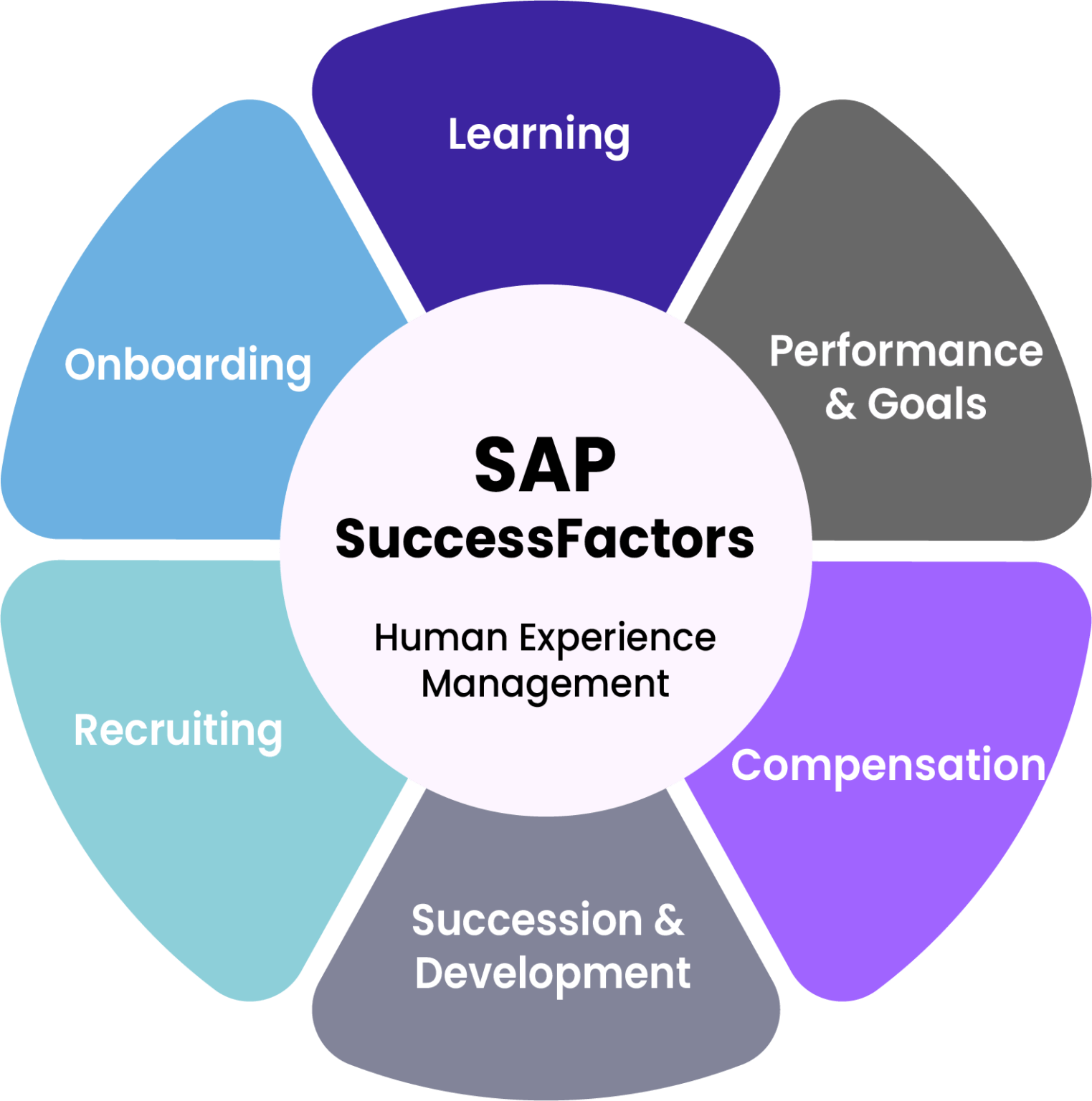SAP SuccessFactors | Delmon SAP Services